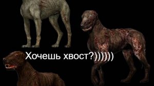 S.T.A.L.K.E.R. N.L.C. 7 3.9.1. #2. В поиске хвоста...