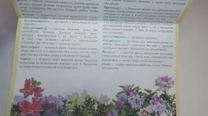 Методики Н. Зайцева Скороговорки, чистоговорки, обучающие материалы и авторские