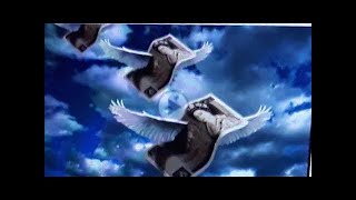 РИТУАЛ СТАЯ ДЕНЕЖНЫХ ПТИЦ. ДЛЯ ВСЕХ. ВЕДЬМИНА ИЗБА. ИНГА ХОСРОЕВА..mp4