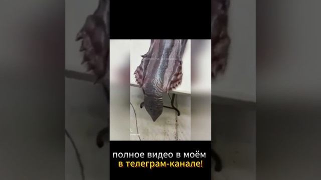 Рука с перепонками дотронулась до иллюминатора#shorts#существо#батискаф