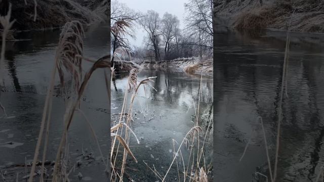 Момент из путешествия по России