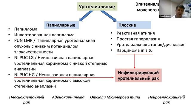 1 из 7. Введение