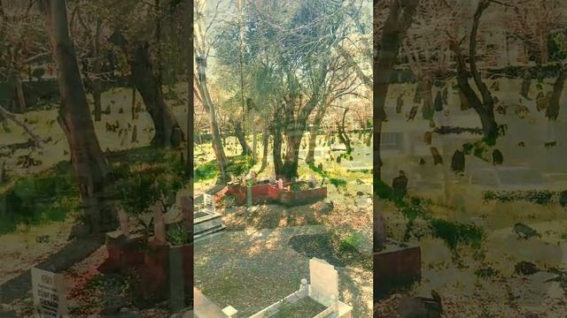 Сын катается на беговеле в Махмутларе, Турция.
