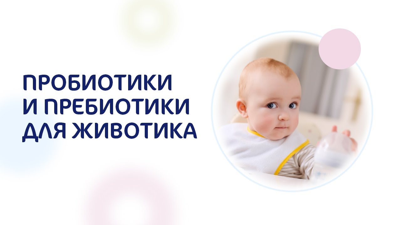 Детская смесь с пребиотиками и пробиотиками Kabrita®. Улучшает пищеварение и укрепляет иммунитет.