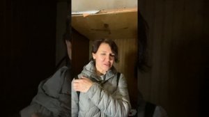 Зоозащита: права кошек | котодомик | Москва | "Разговоры художника с" | Лени Сморагдова