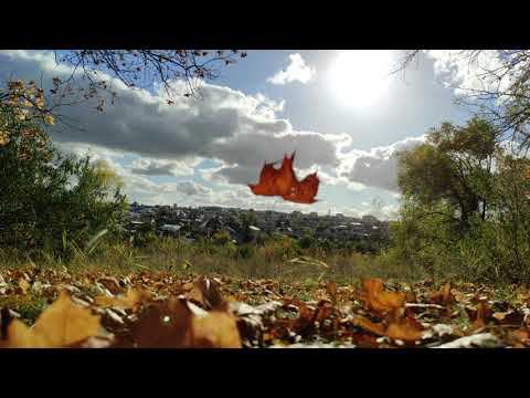 Осень в парке_Autumn in the park_公園の秋