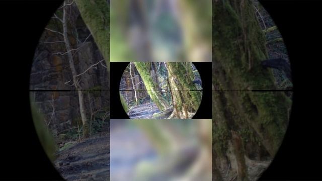 Видишь снайпера? А он есть ?