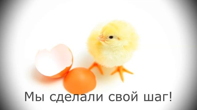 Алейниковский инкубатор Россошь.mp4