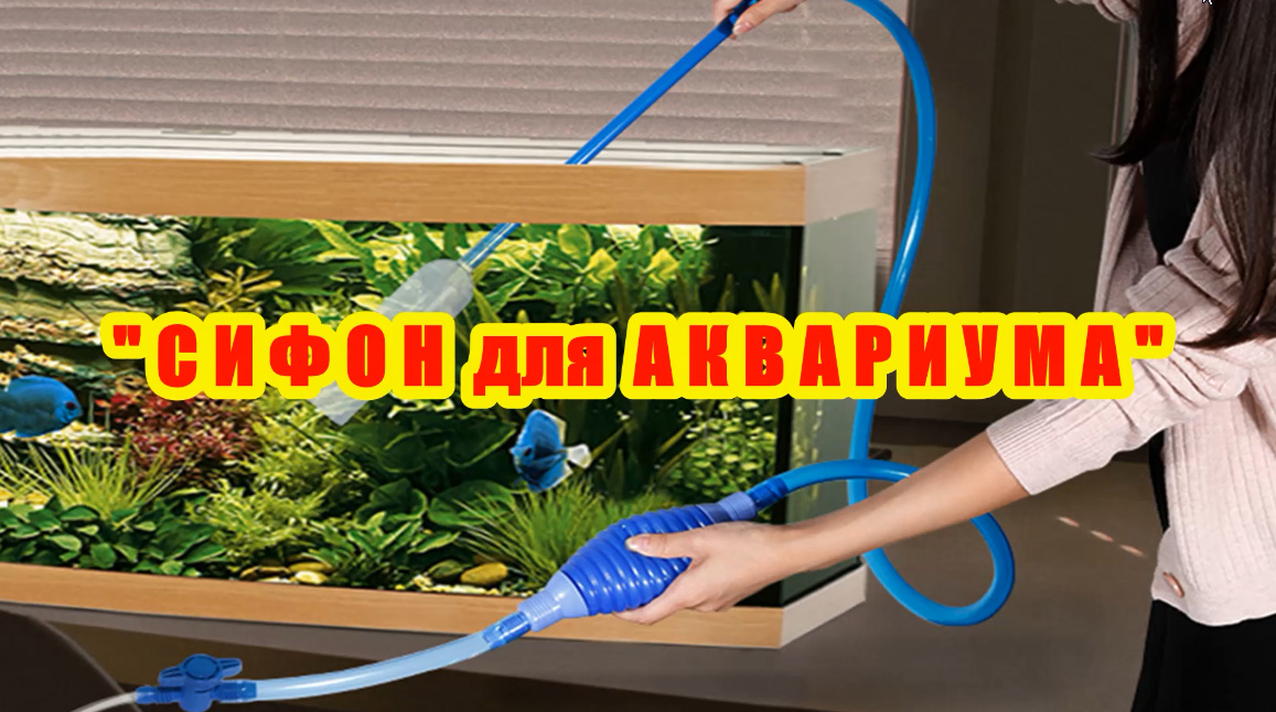 # АКВАРИУМ и ТЕРРАРИУМ #