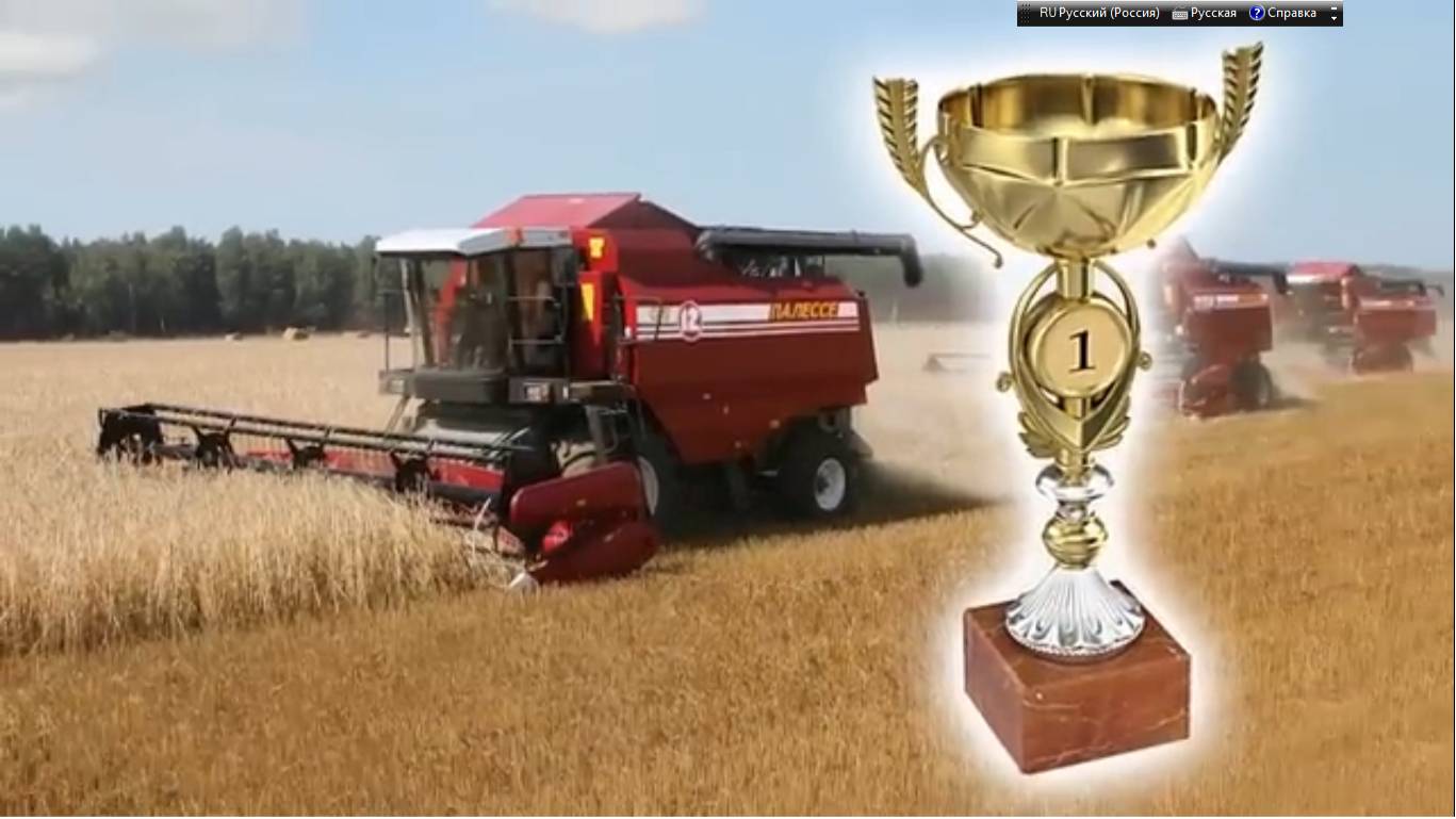 Дожинки. Городские яблочки