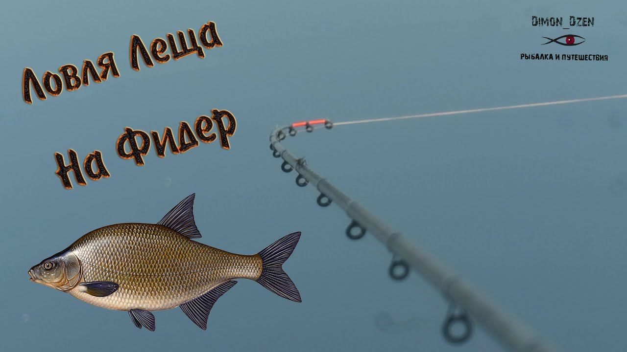 Ловля Леща на Фидер на Сложном Водоёме