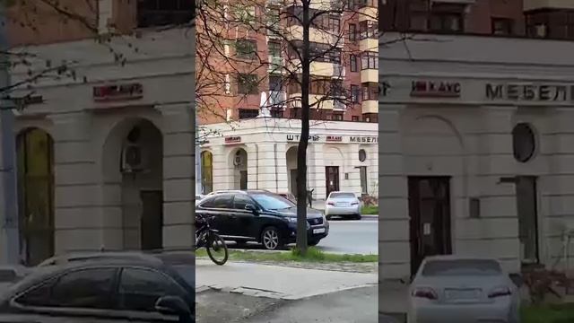 лось бегает по центру  ярославлю