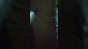 катастрофа в Таджикистане
