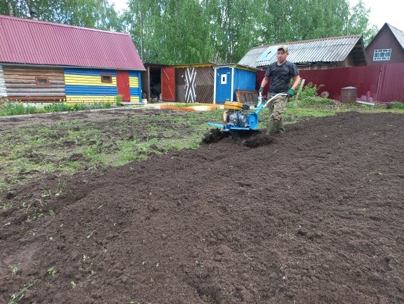 "ГУСИНЫЕ ЛАПКИ" В РАБОТЕ.МОТОБЛОК НЕВА МБ-2.ПЕРЕД ПОСАДКОЙ ПОД МОТОБЛОК.