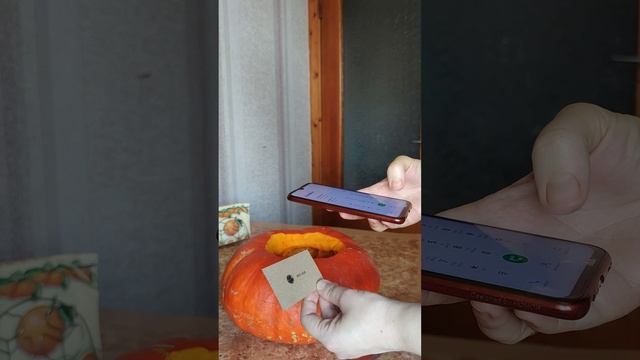 Игра в кальмара на Хэллоуин #короткиестрашилки от Малюков Страшилки