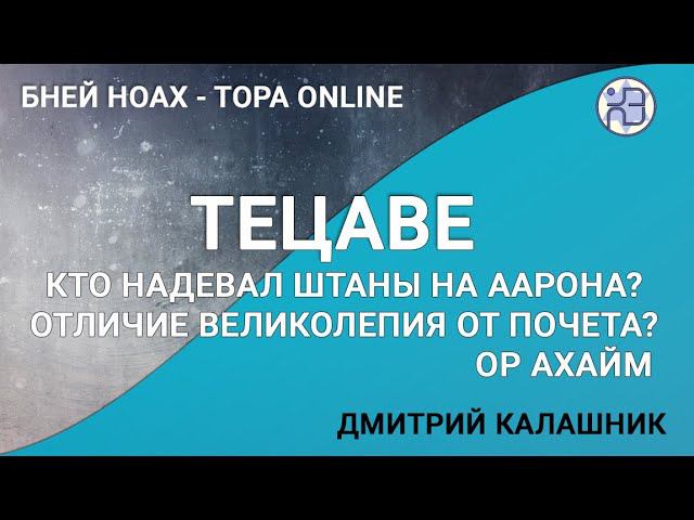 Кто надевал штаны на Аарона? Отличие великолепия от почета? Ор аХайм. ШМТ 28:35-42. Глава Тецаве