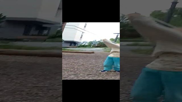 слон во дворе