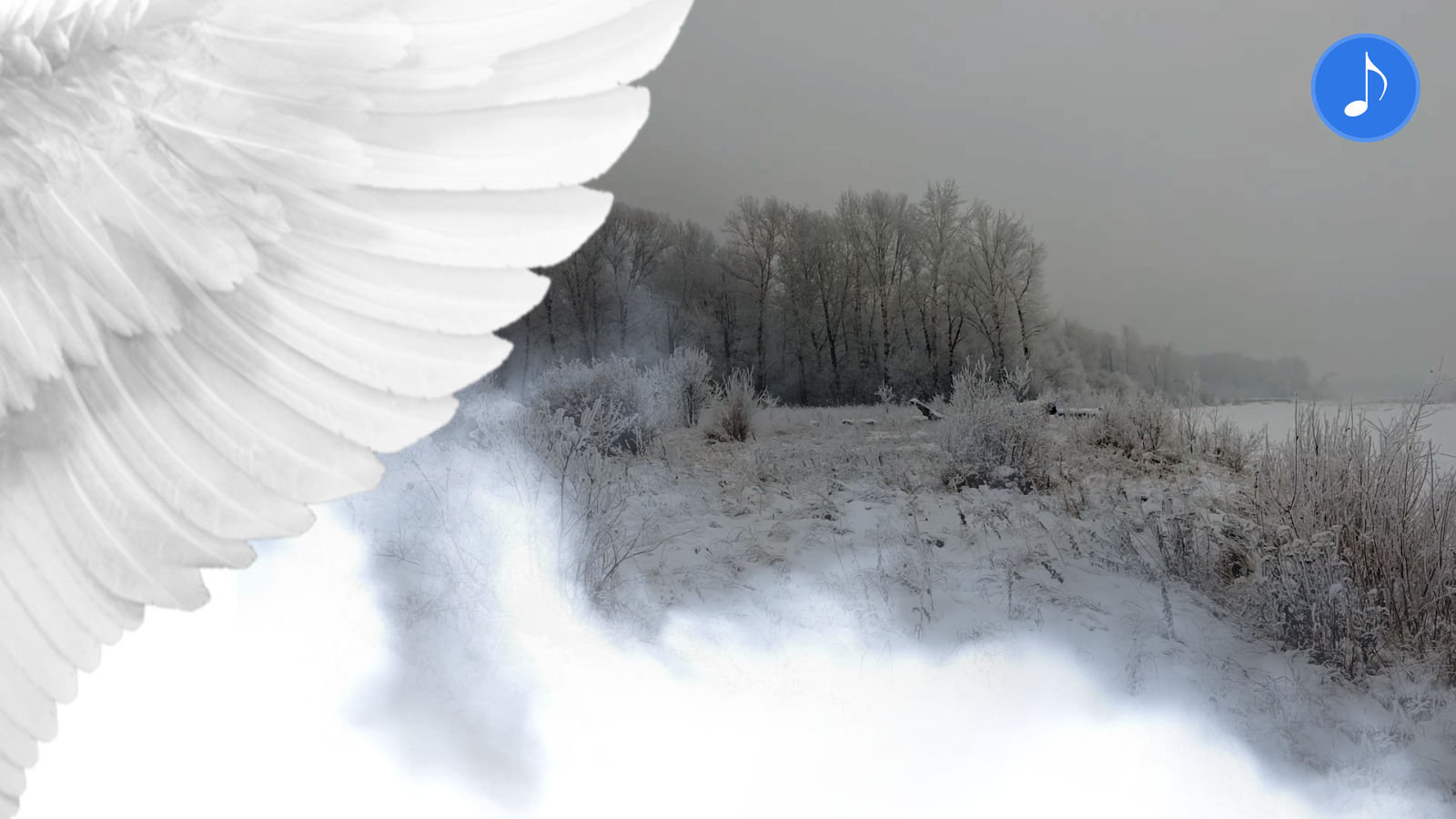 Nature Walk / Прогулка на природе (December 28 декабря)