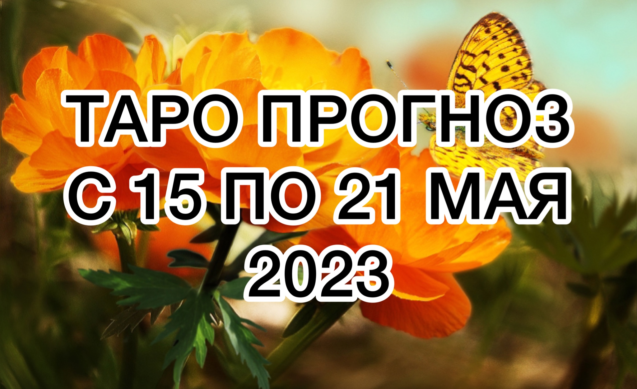 КОЗЕРОГ ♑️ ТАРО ПРОГНОЗ НА НЕДЕЛЮ С 15 ПО 21 МАЯ 2023