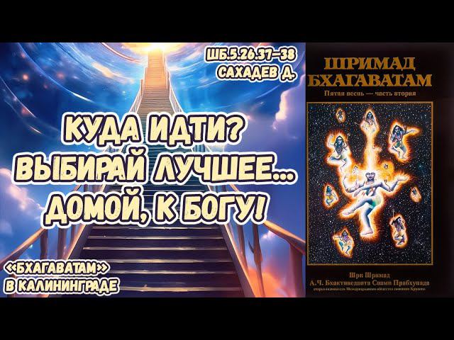 Куда идти? Выбирай лучшее... Домой, к Богу! Сахадев д. ШБ.5.26.37–38