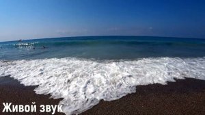 ТУРЦИЯ 2021, ОБЗОР ОТЕЛЬ LARISSA HOLIDAY BEACH CLUB /АЛАНИЯ, КОНАКЛЫ ● ЕДА, МОРЕ, ПЛЯЖ В СЕНТЯБРЕ