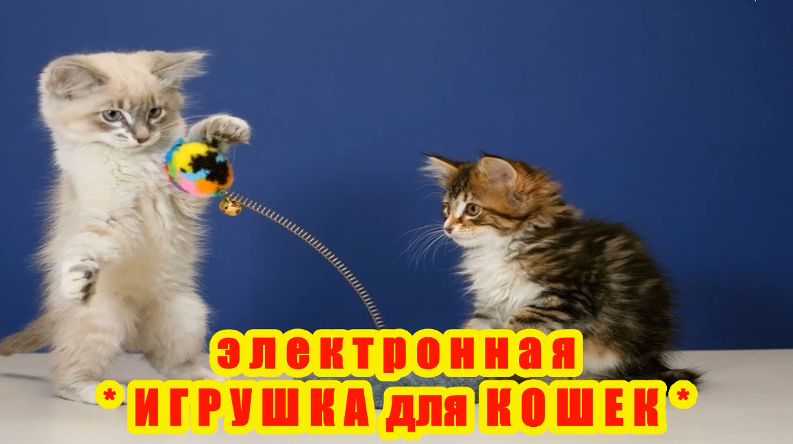 * ИГРУШКА для вашего ПИТОМЦА №2 *