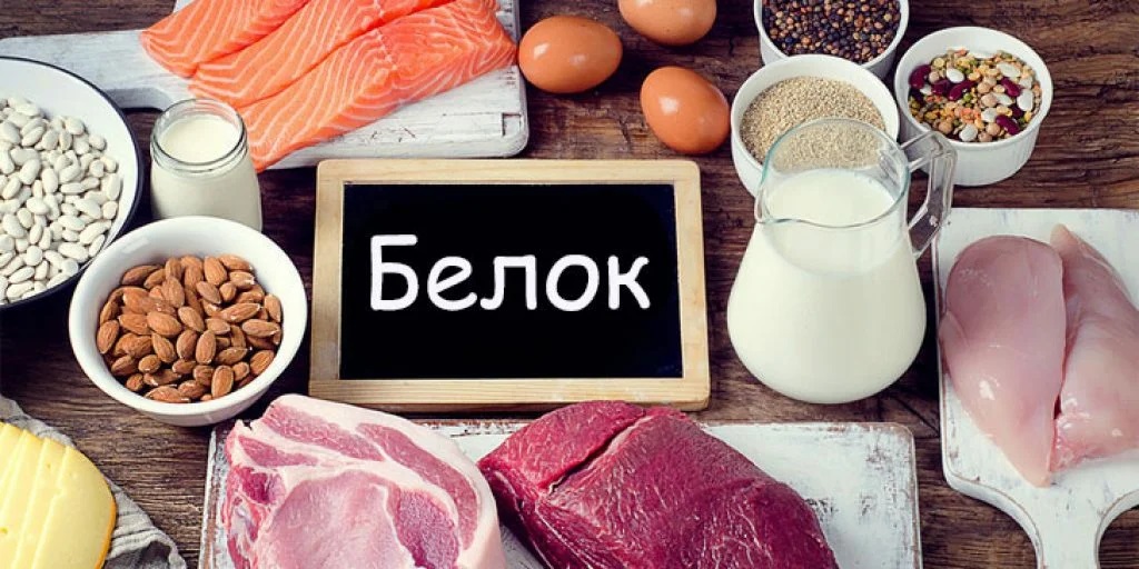 Компоненты пищи, часть 1 - Белок