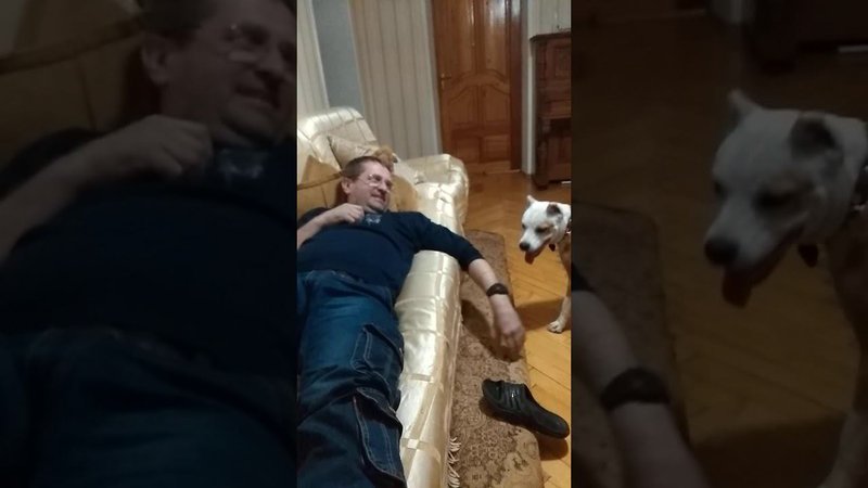 31 марта 2020 г.