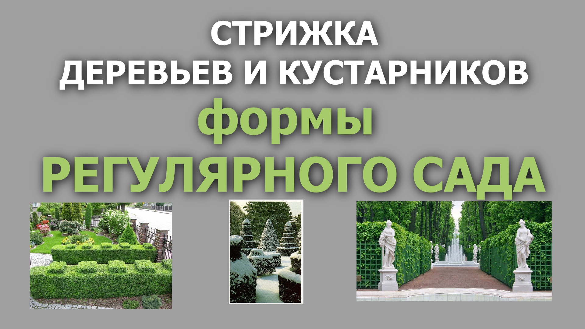 Регулярный стиль в садах (обзор)