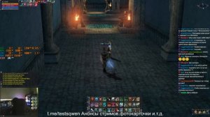 [Chill][ElmoreLab] Shillien Templar 80+
