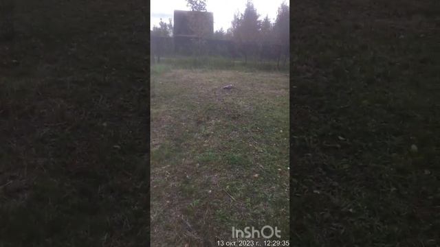 13.10.2023 Последний день на даче в 2023 году