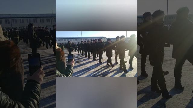 армия Сын