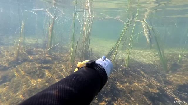 Подводная охота на щуку