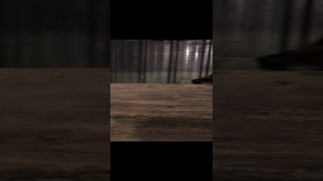 Карточка видео