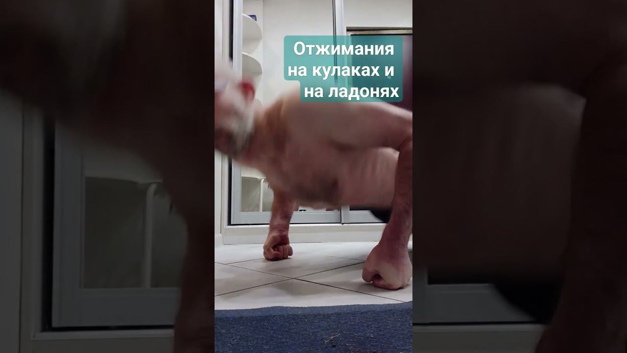 Отжимания на кулаках и на ладонях
