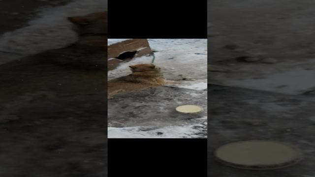 15.04.2023г.Оренбуржье замело!