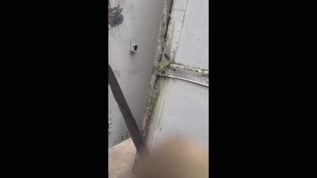 Токарный станок ТС135М-491 (Часть 1)