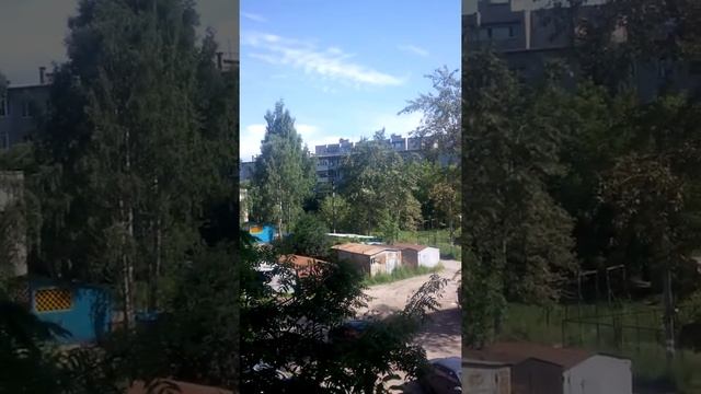 Сирена