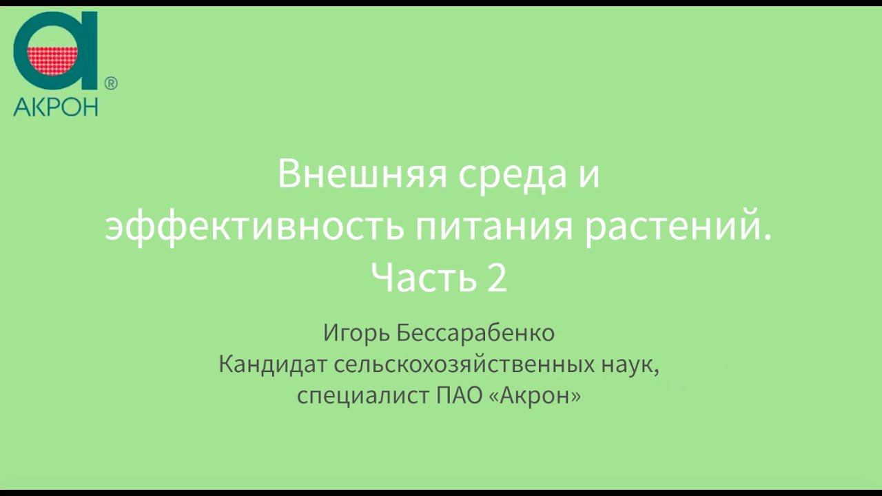 Внешняя среда и эффективность питания растений. Часть 2
