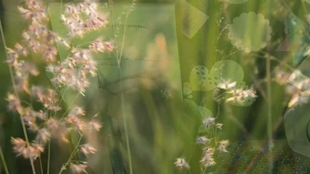Придёт осенняя пора. Песня Марка Фуксова на стихи Ирины Фетисовой (Mullerson)