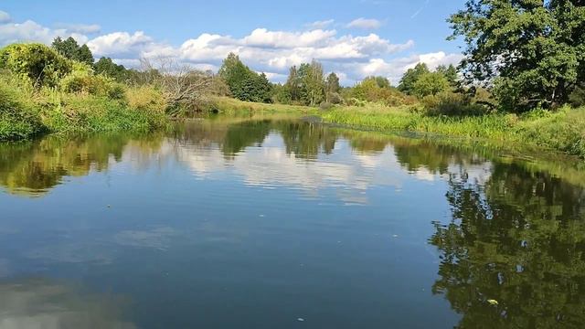 Река Шерна, путешествие от затона поселок Карабанова, до пляжа поселок Мамонтово с сюрпризом. Лето