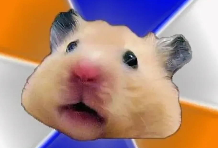 мемы с хомяками 3