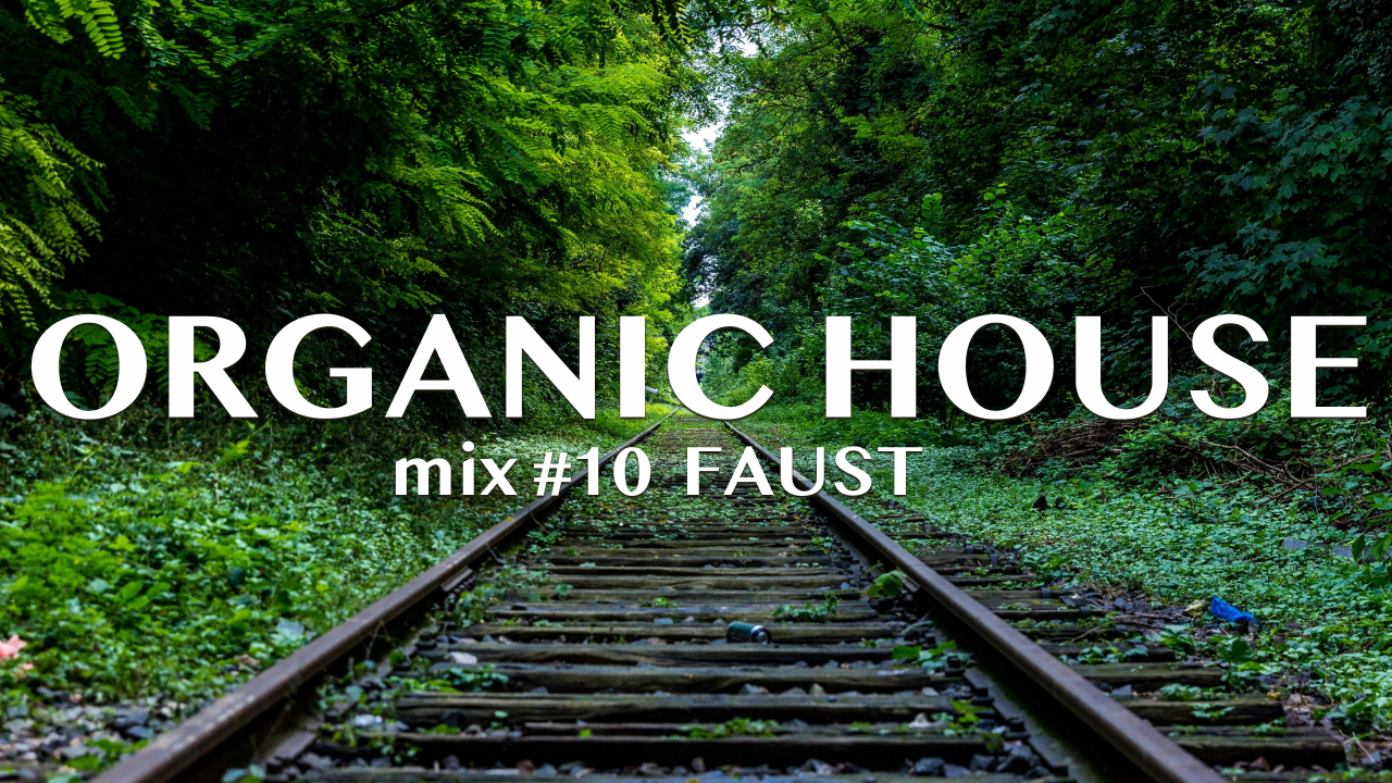 Organic House Mix #10 Faust