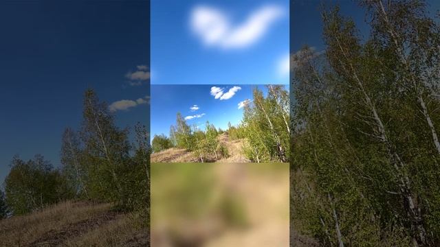 Снайпер с минометом.