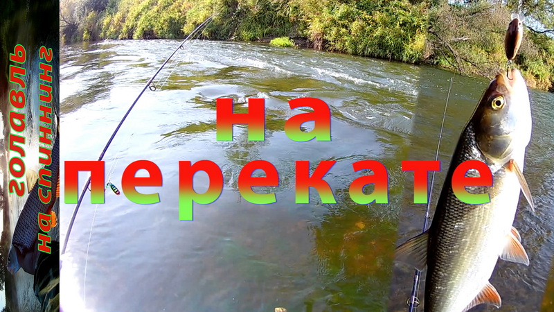 Осенняя рыбалка на перекате. Спиннинг на малой реке.