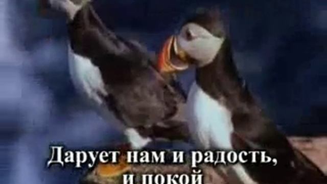 12 Мы семья.mp4