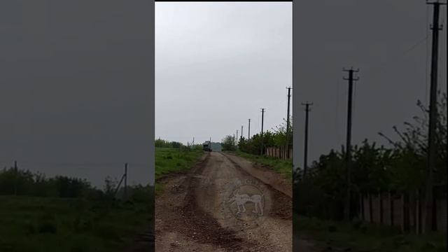 Солнцепёк атакует.