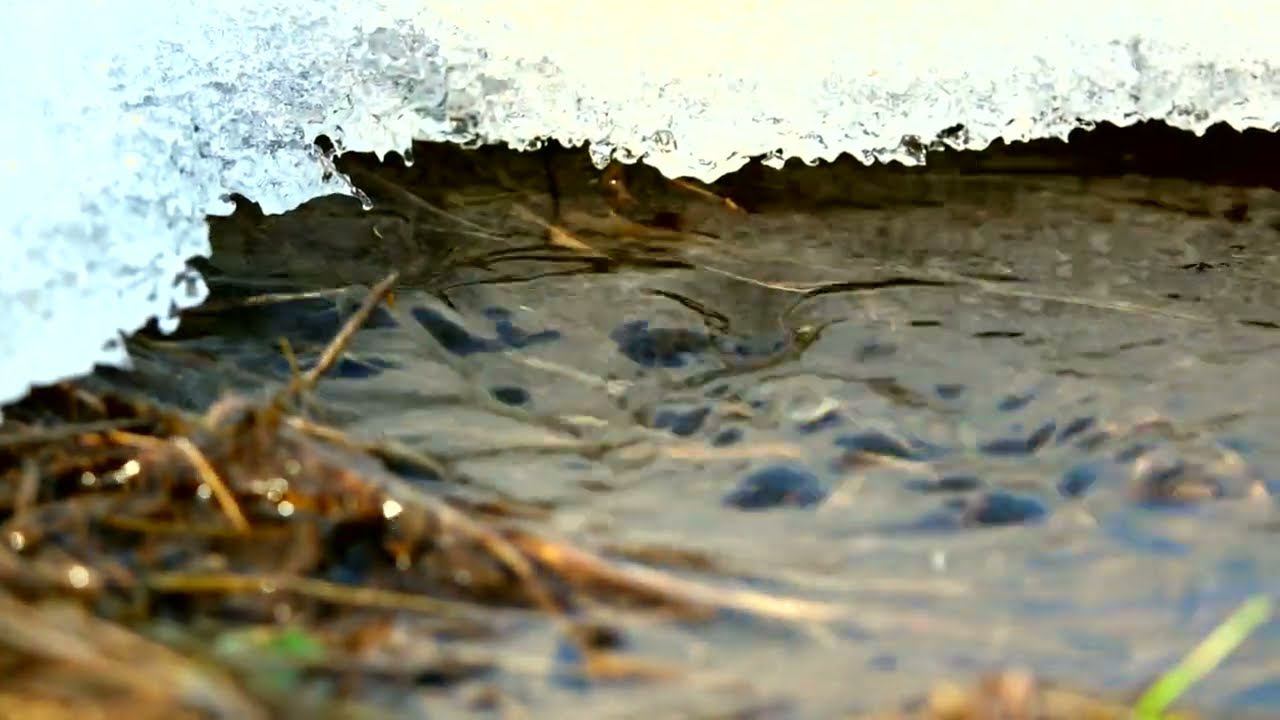 Бог исцеляет тишиной | Библия и природа