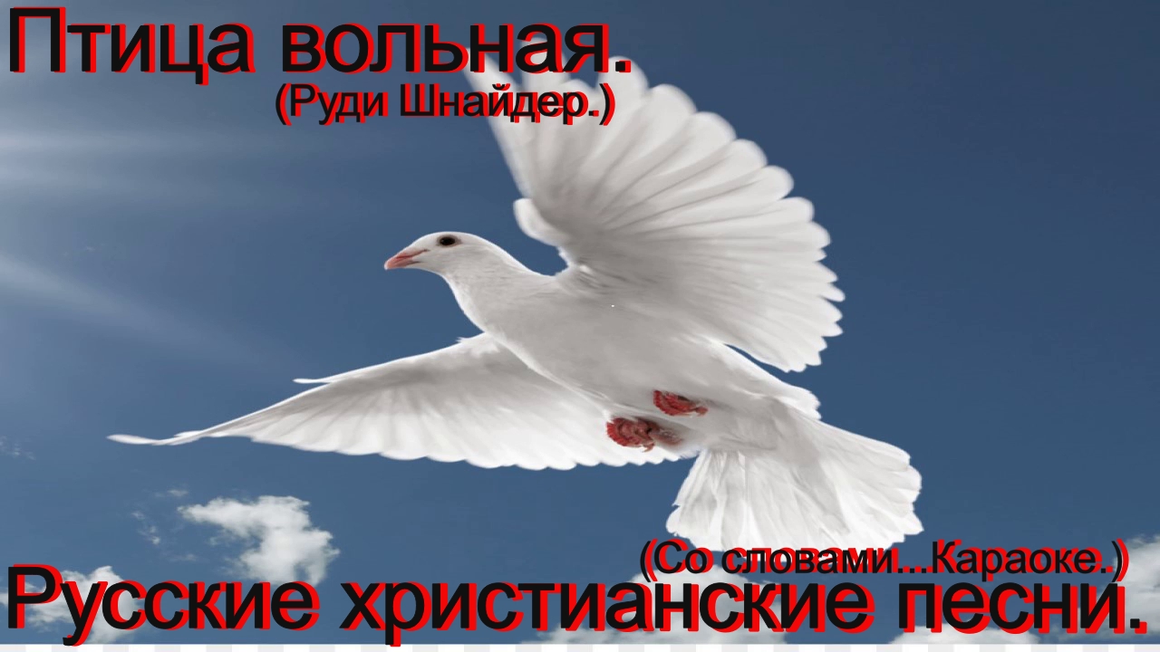 Птица вольная.(Руди Шнайдер.)Христианские видео песни.