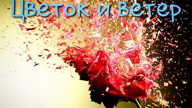 Цветок и ветер (притча)